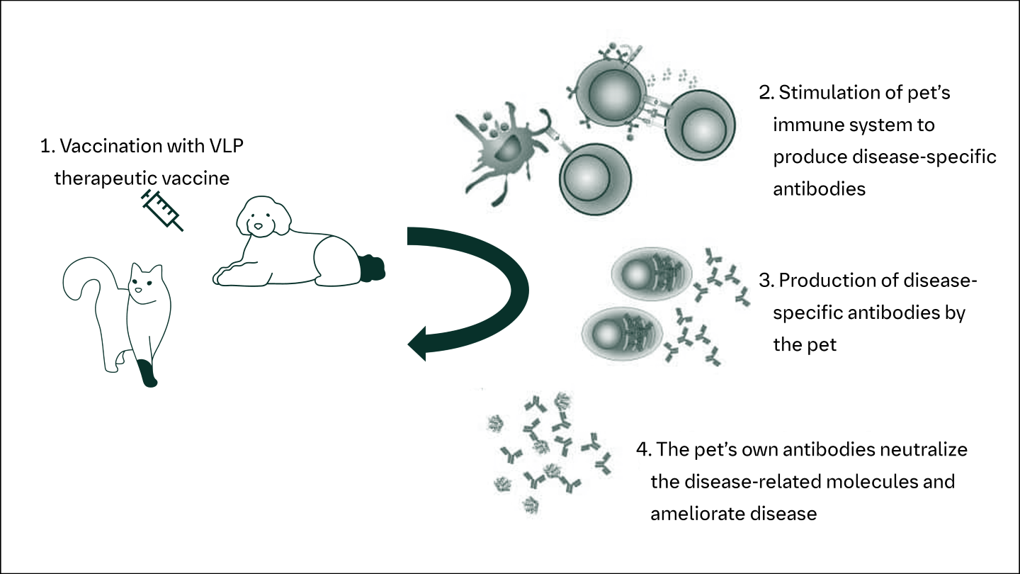 Therapeutic Vaccines in Animal Health for Chronic Disease in Pets ...