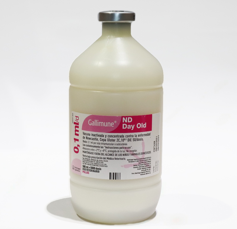 Gallimune® ND Day Old | Boehringer Ingelheim SA