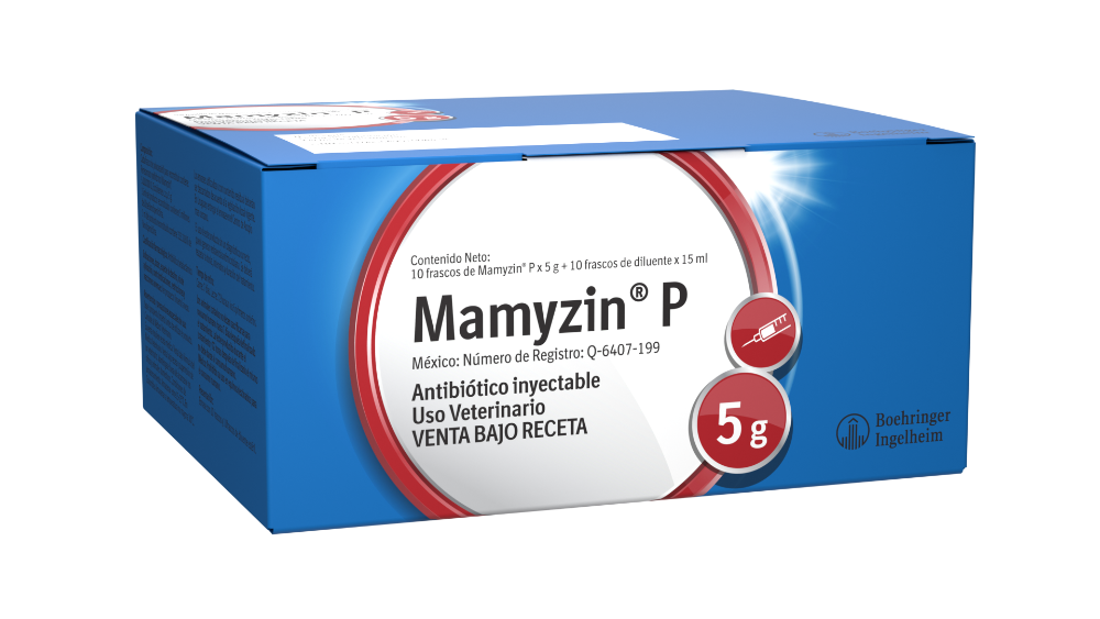 Mamyzin® P | Boehringer Ingelheim