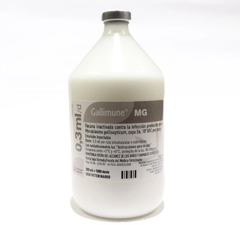 Gallimune® MG | Boehringer Ingelheim SA