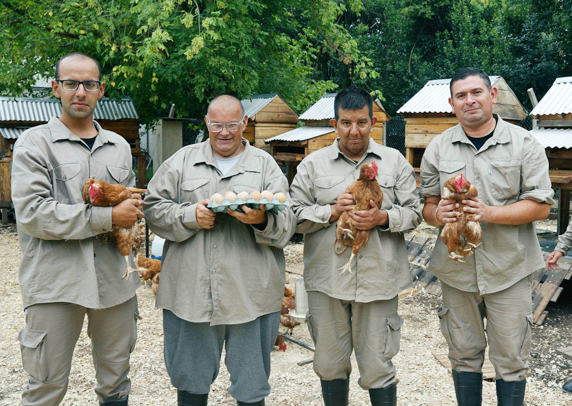 Le projet Happy Chickens | Boehringer Ingelheim