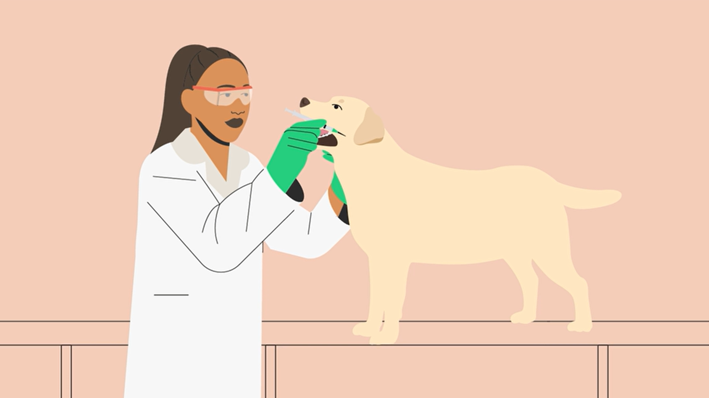 Rabies prevention. Real stories of dedication and impact | Boehringer ...