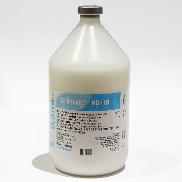 Gallimune® 203 ND + IB | Boehringer Ingelheim