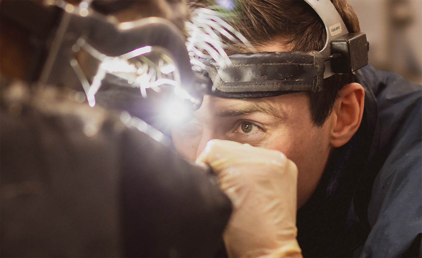 Press | Media Overview | Boehringer Ingelheim AU