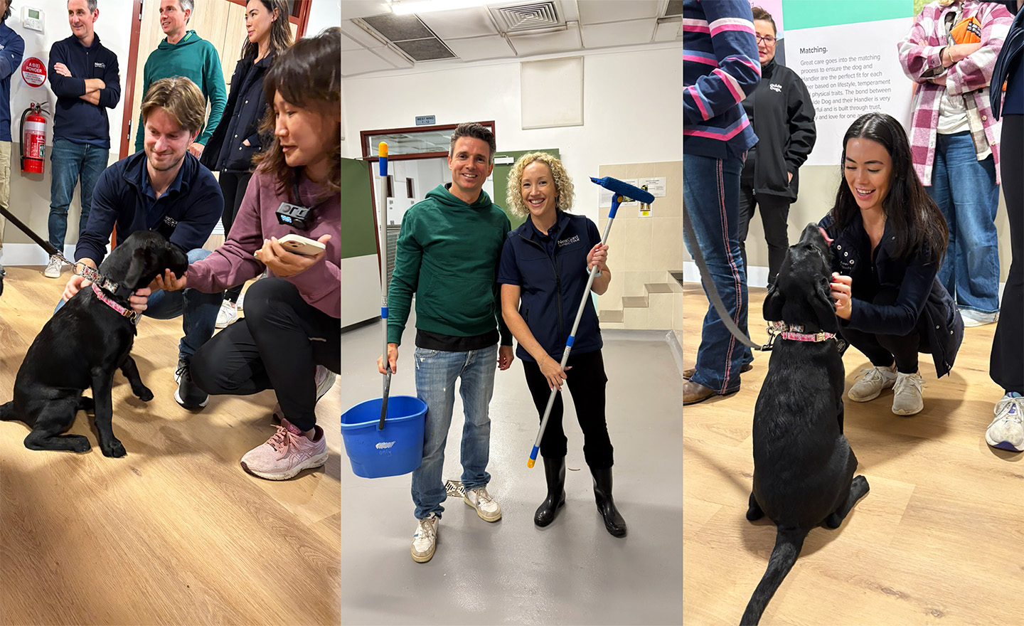 Corporate Volunteering | Boehringer Ingelheim AU