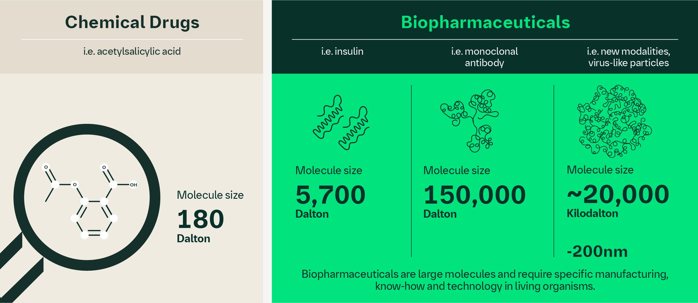 Big molecules | BioXcellence | Boehringer Ingelheim