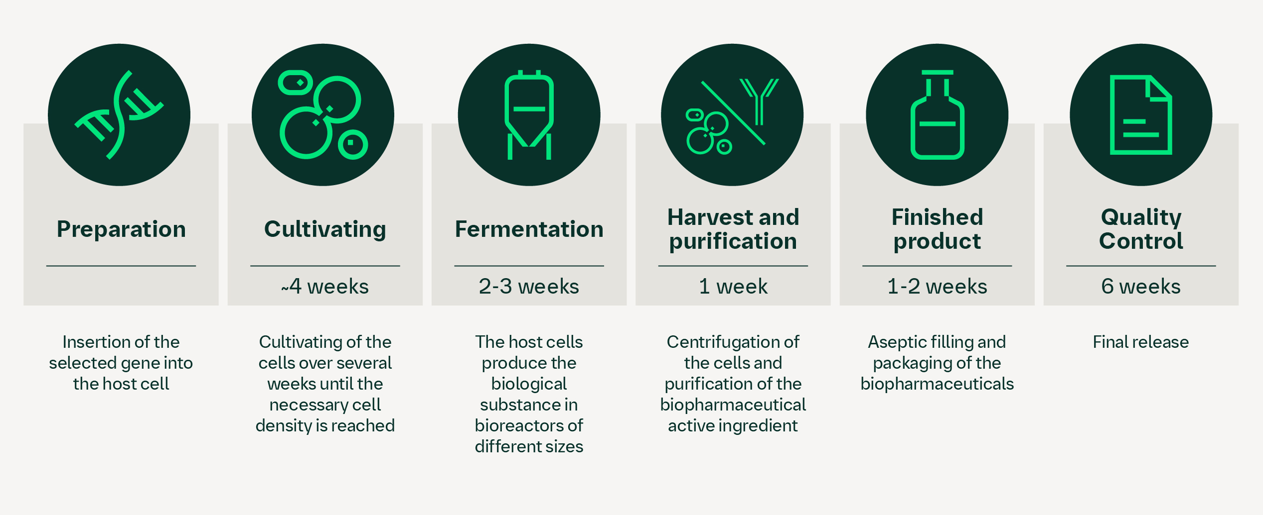 Big molecules | BioXcellence | Boehringer Ingelheim