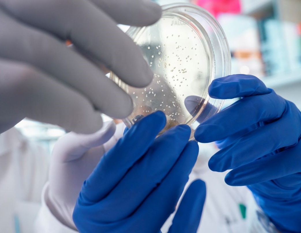 The Supplier Code of Conduct | Boehringer Ingelheim