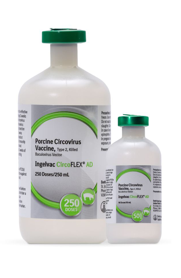 Boehringer launches swine vaccine with advanced protection against PCV2 ...