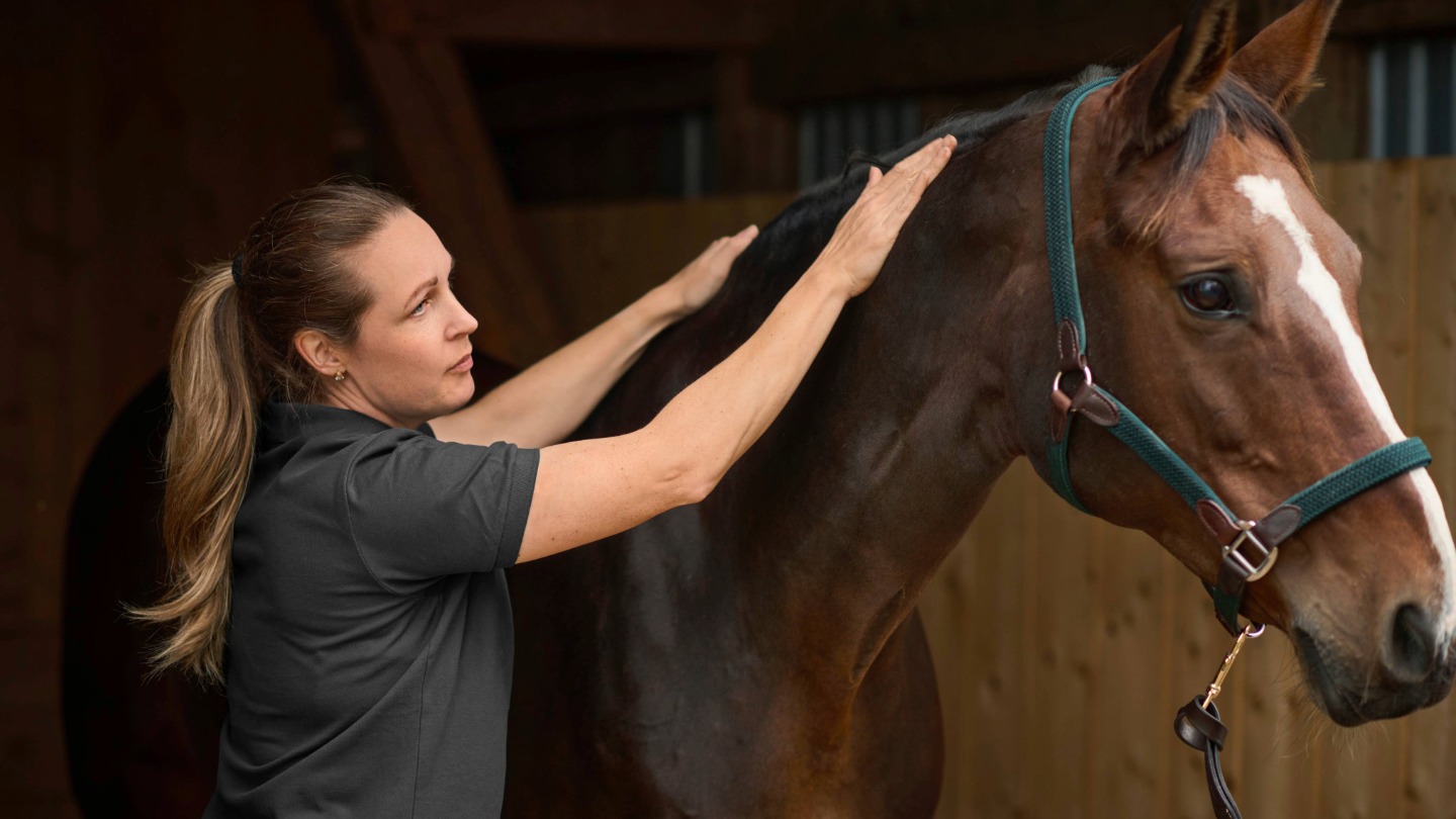 Horse lameness 5 key things every horse owner should know | Boehringer Ingelheim