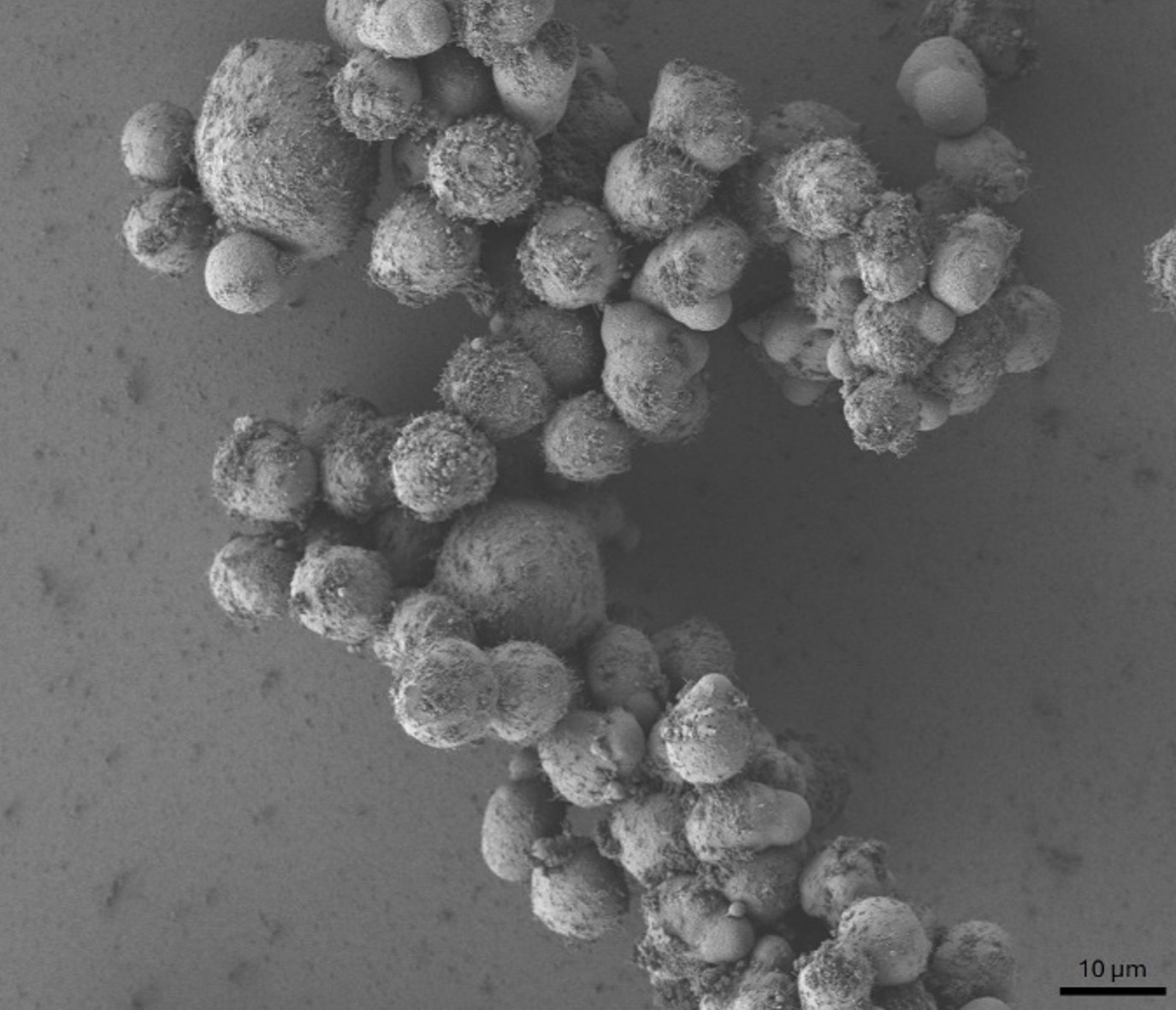 Oncolytic viruses: From the lab to the clinic | Boehringer Ingelheim