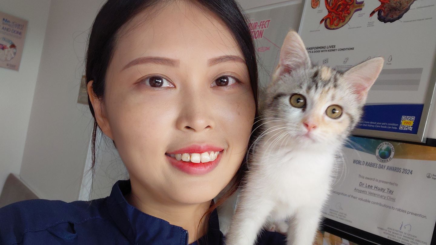 From the ground up: Driving rabies elimination through community action ...