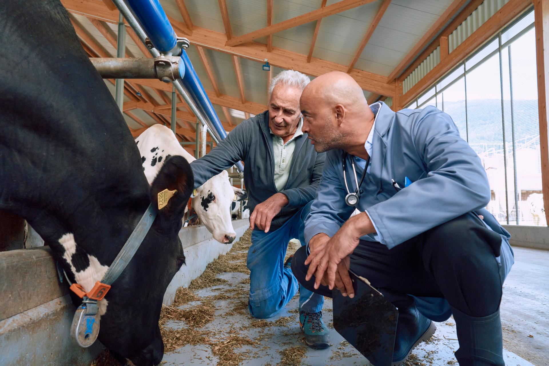 Boehringer Cares Animal Health Program | Boehringer Ingelheim