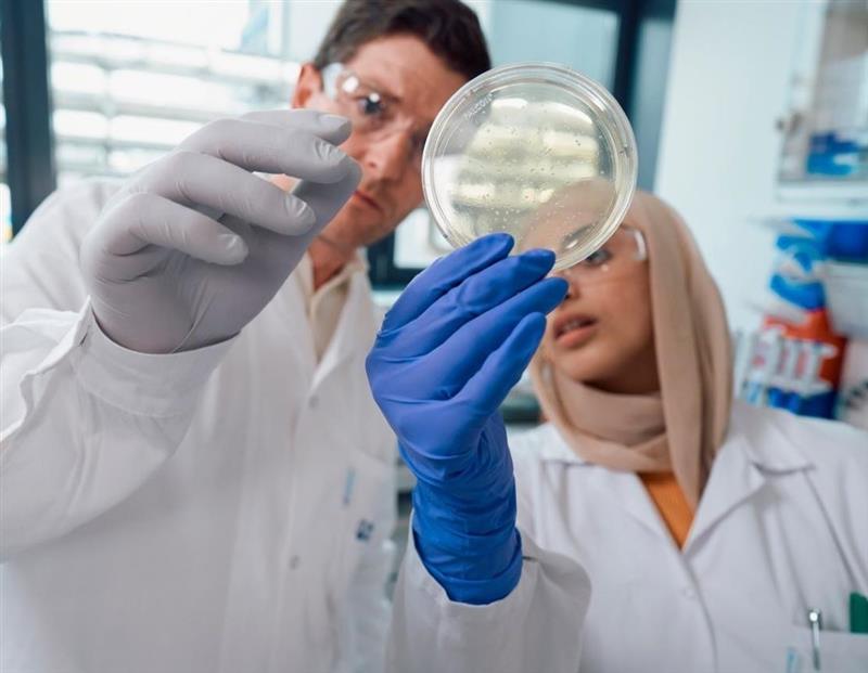 Le Code de conduite des fournisseurs | Boehringer Ingelheim CH