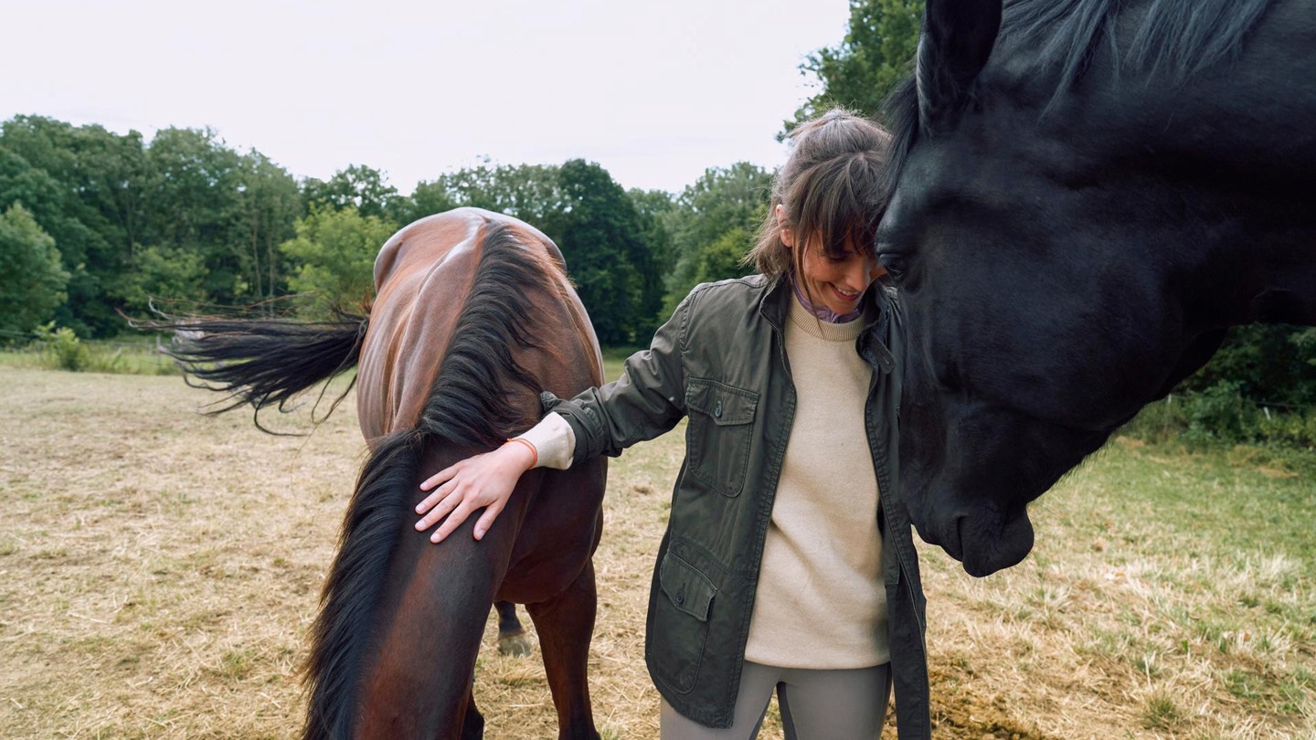 Understanding equine pain | Boehringer Ingelheim
