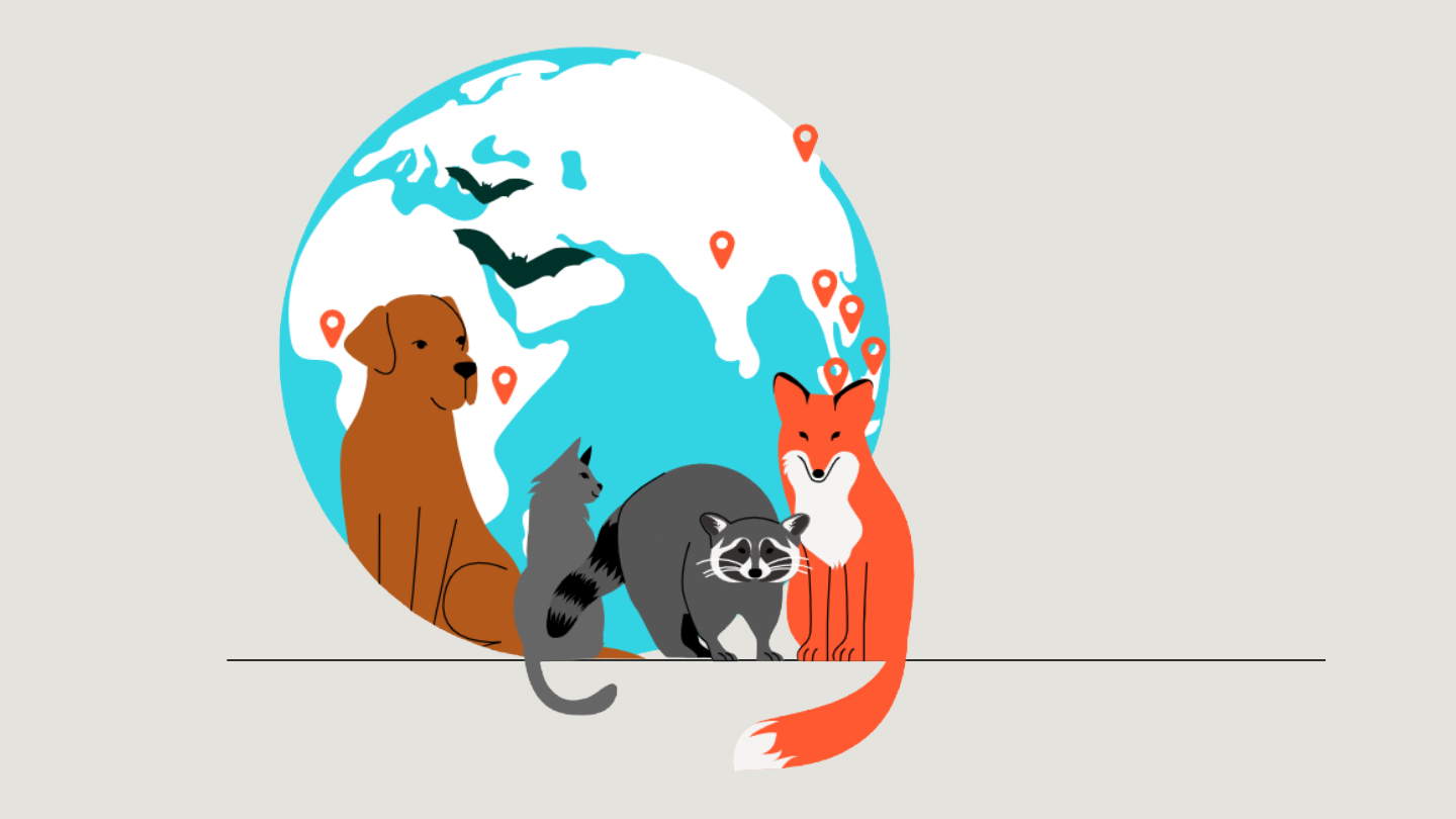 Rabies wildlife 5 things to know | Boehringer Ingelheim