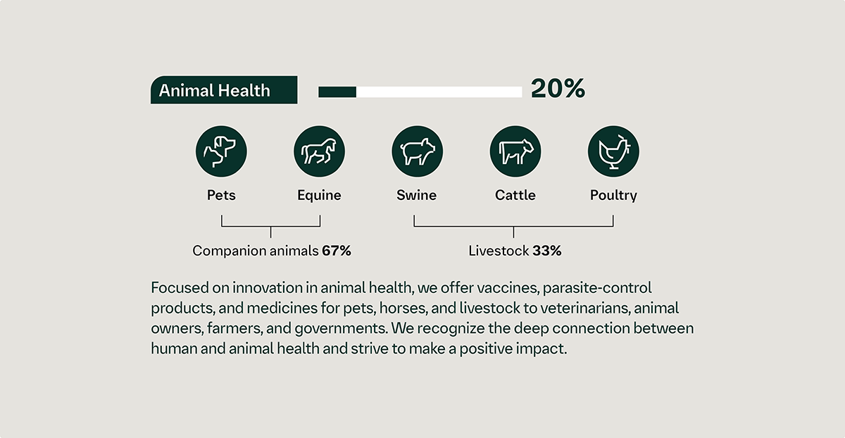 Our Businesses | Boehringer Ingelheim US