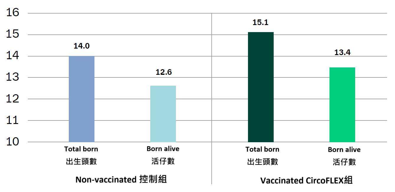 百靈佳殷格翰-母豬使用CircoFLEX之效益 | Boehringer Ingelheim TW