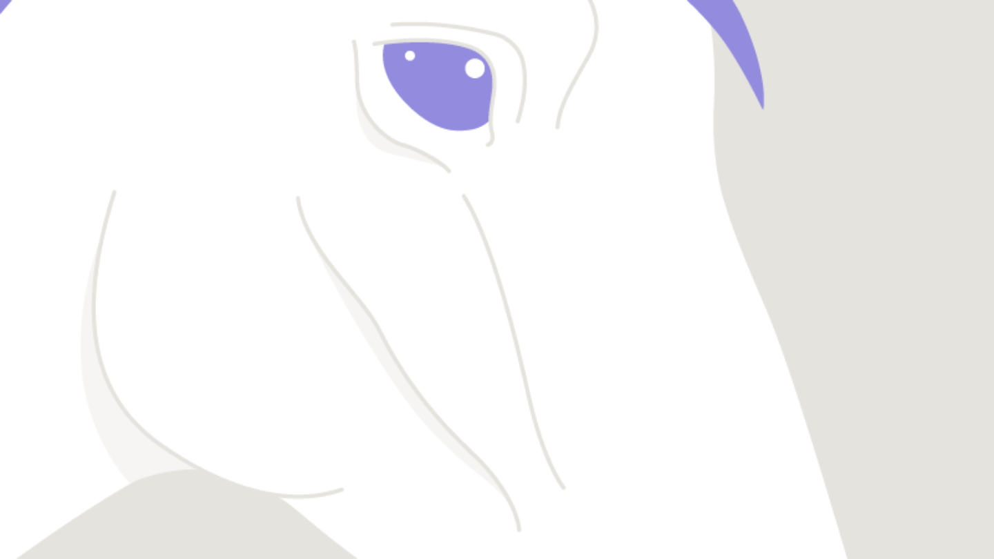 Understanding equine pain | Boehringer Ingelheim