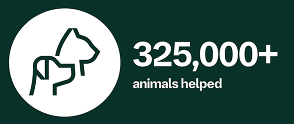 Boehringer Ingelheim Cares Foundation | Boehringer Ingelheim US