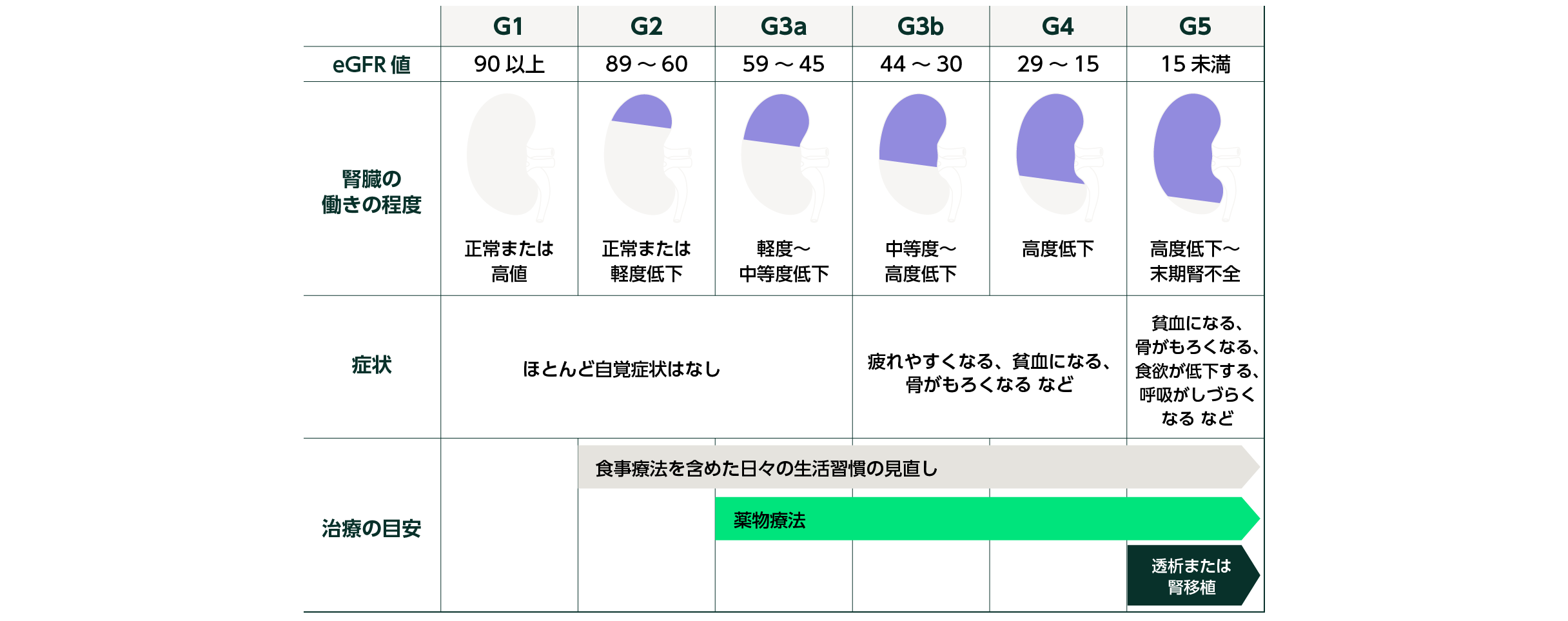CKDとは | Boehringer Ingelheim JP