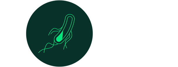 Microbial Expertise | BioXcellence | Boehringer Ingelheim