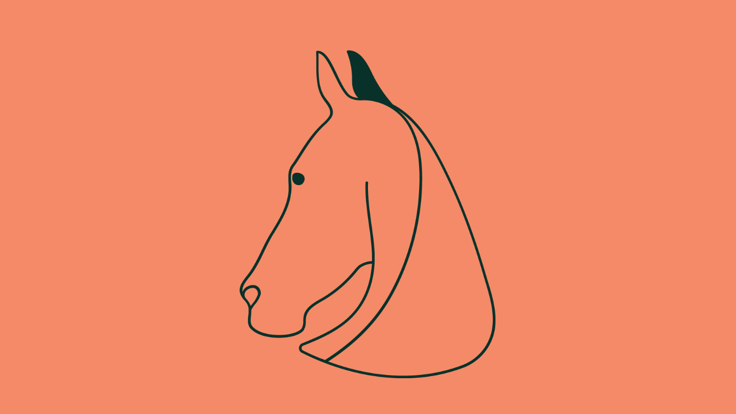 Understanding equine pain | Boehringer Ingelheim