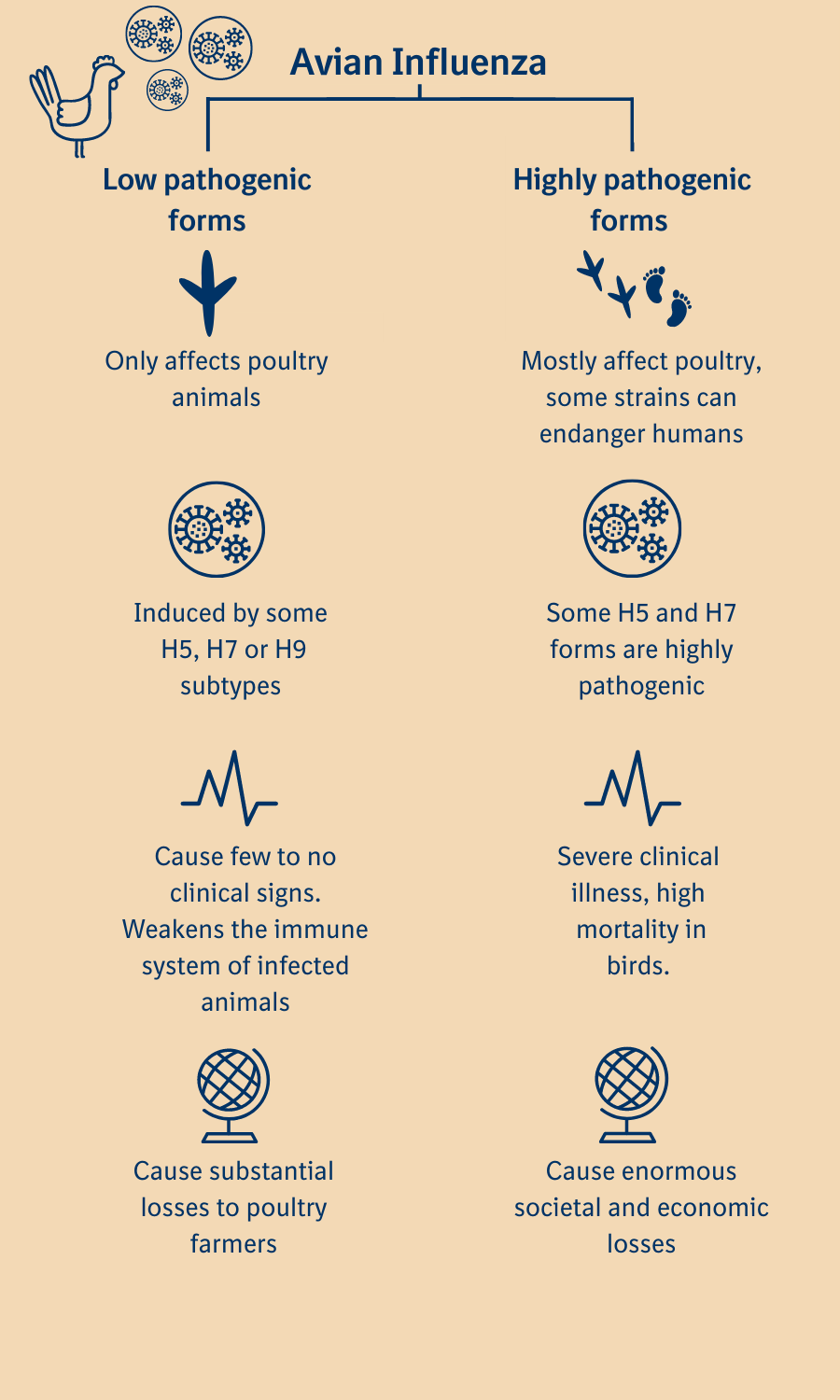 3 things you should know about avian influenza | boehringer-ingelheim.com