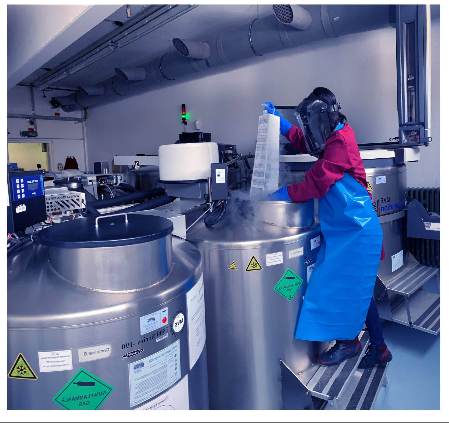 Monoclonal antibodies Boehringer Ingelheim and Invetx | Boehringer ...