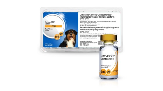 Animal Health Products | Boehringer Ingelheim CA