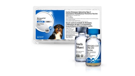 Animal Health Products | Boehringer Ingelheim CA