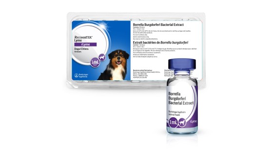 Animal Health Products | Boehringer Ingelheim CA