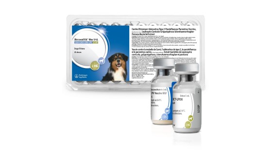 Animal Health Products | Boehringer Ingelheim CA