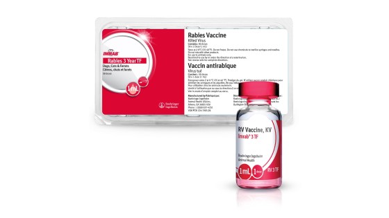 Animal Health Products | Boehringer Ingelheim CA