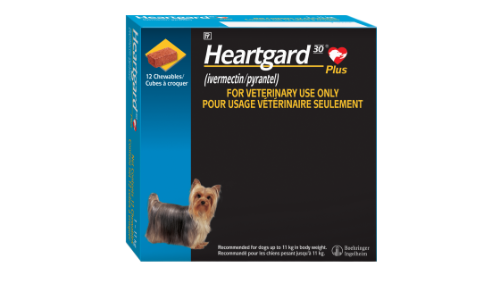 Animal Health Products | Boehringer Ingelheim CA