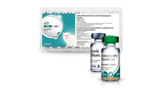 Animal Health Products | Boehringer Ingelheim CA