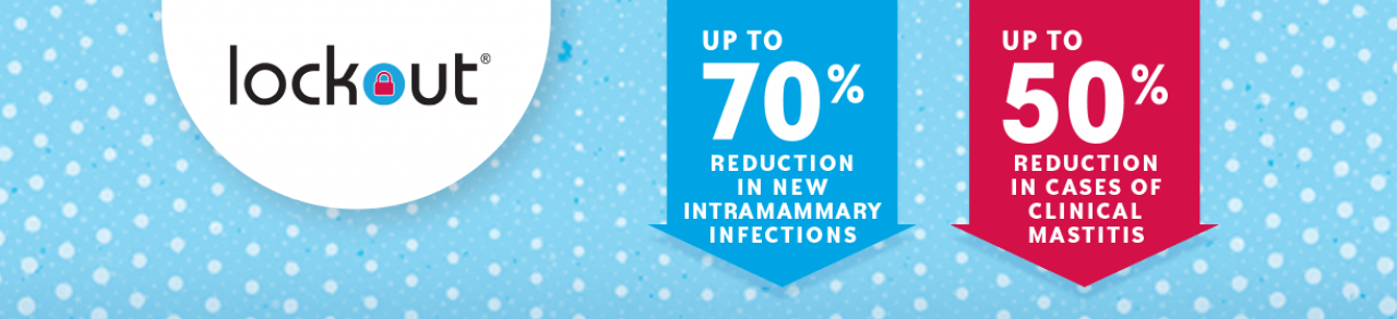 Le choix avisé pour la prévention de la mammite | Boehringer Ingelheim