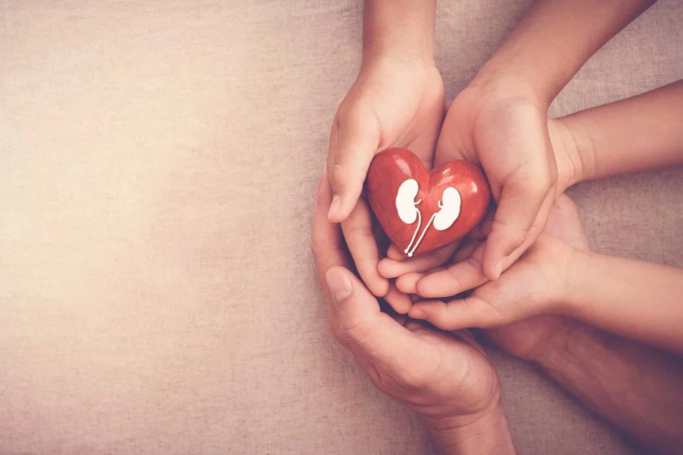 7 tipů pro zdravé ledviny | Boehringer Ingelheim CZ