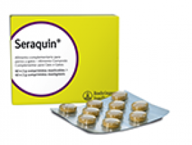 Animales de compañía | Boehringer Ingelheim