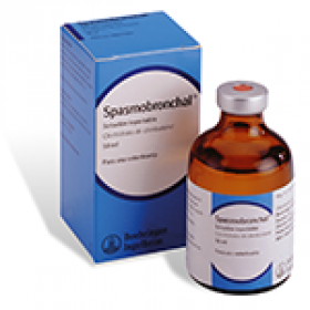 Animales de compañía | Boehringer Ingelheim ES