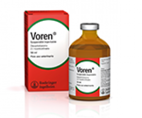 Vacuno | Boehringer Ingelheim