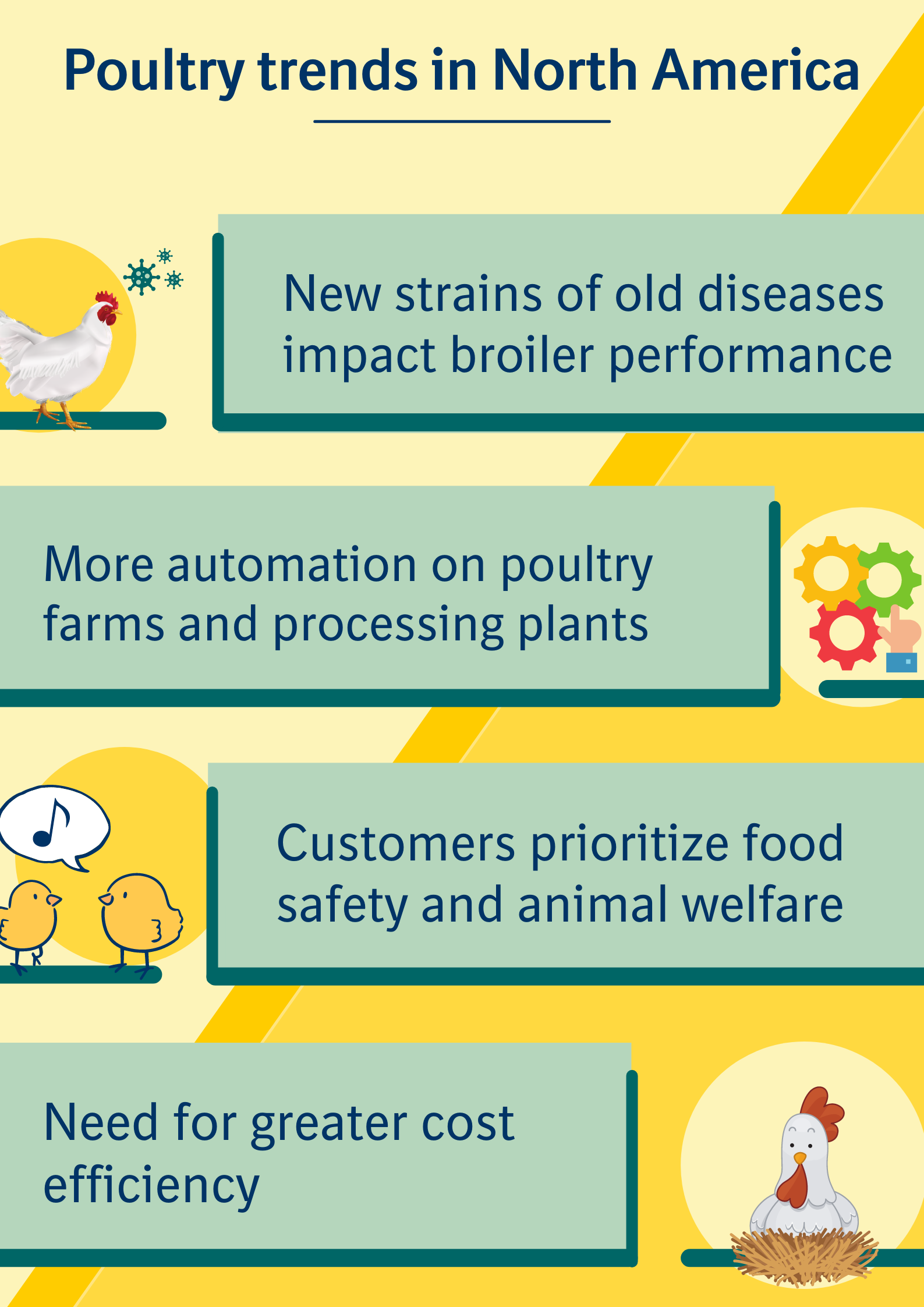 Las tendencias del pollo en el punto de mira | Boehringer Ingelheim