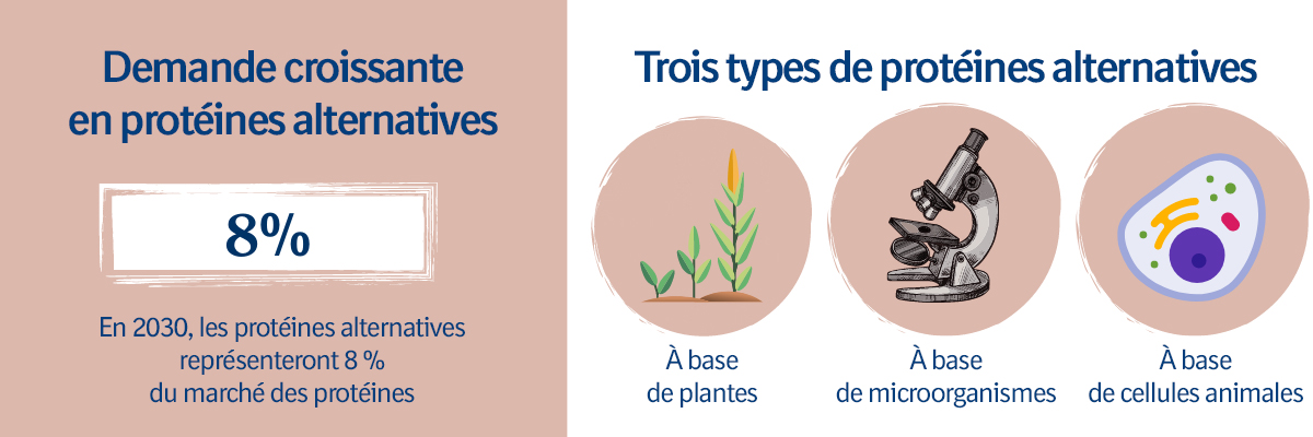Quel est l’avenir de la consommation de viande ? | Boehringer Ingelheim