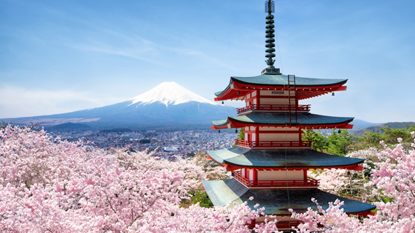 Japon | Boehringer Ingelheim Carrière