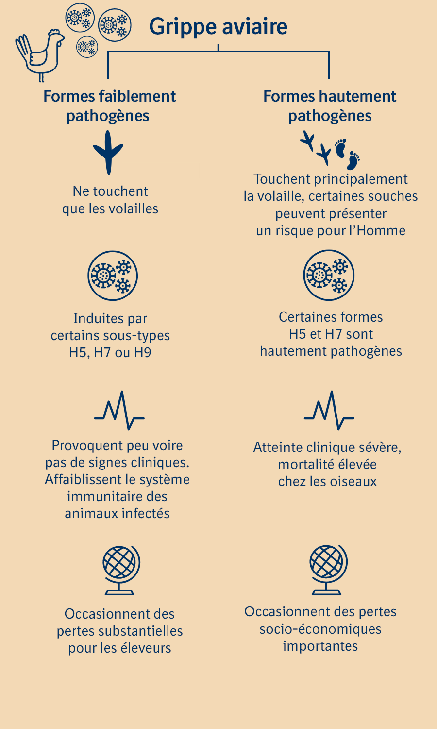 3 choses à savoir sur la grippe aviaire | Boehringer Ingelheim