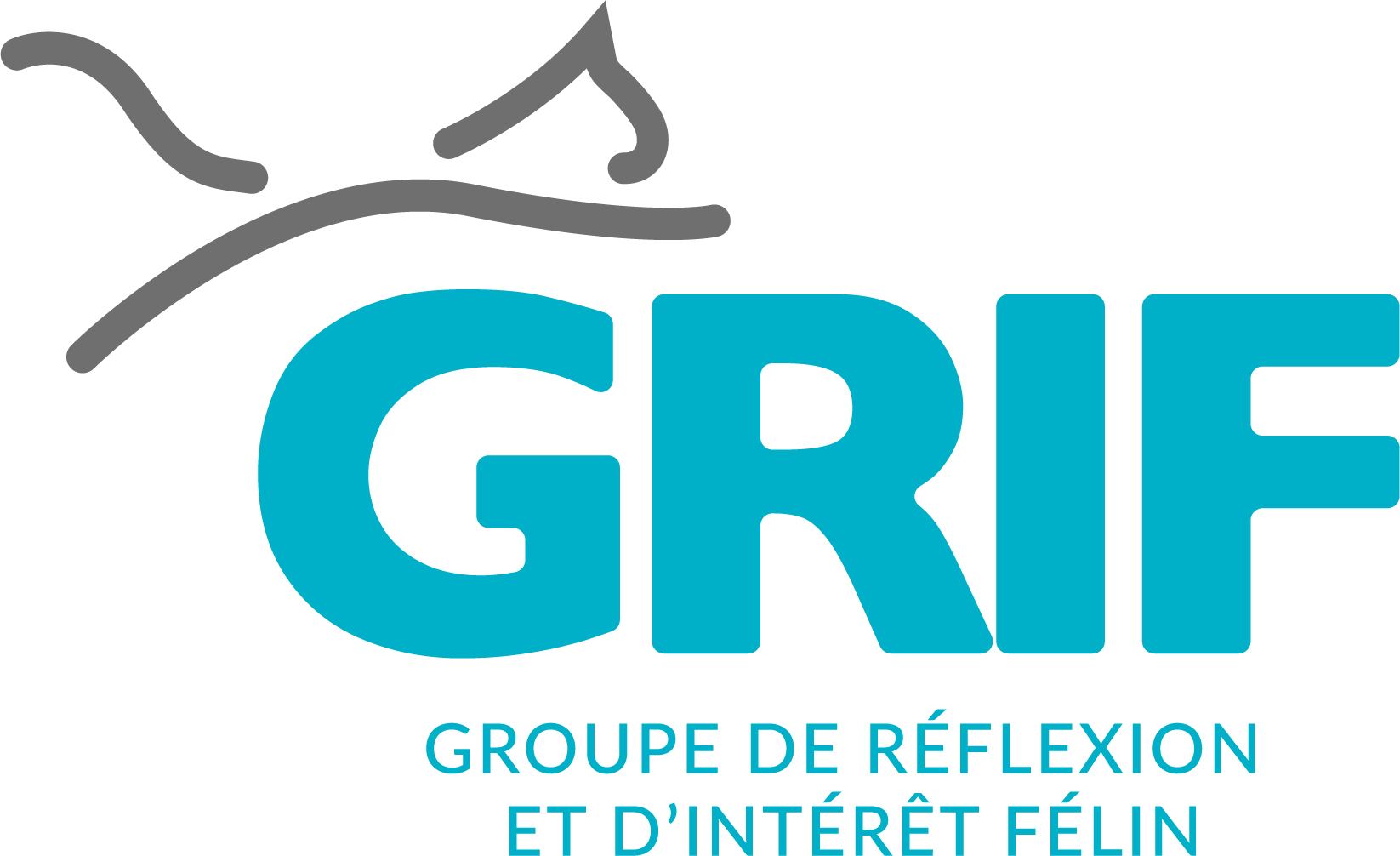 Boehringer Ingelheim s’engage auprès du Groupe de Réflexion et d’Intérêt Félin pour soutenir la ...