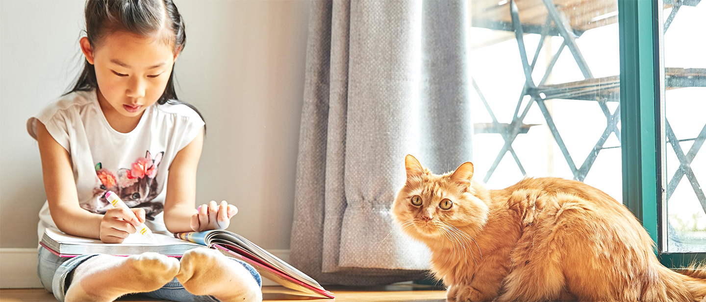 History of Cats | Boehringer Ingelheim IN