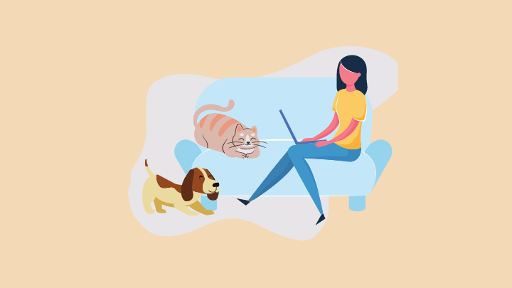 Pets Health | Boehringer Ingelheim IN