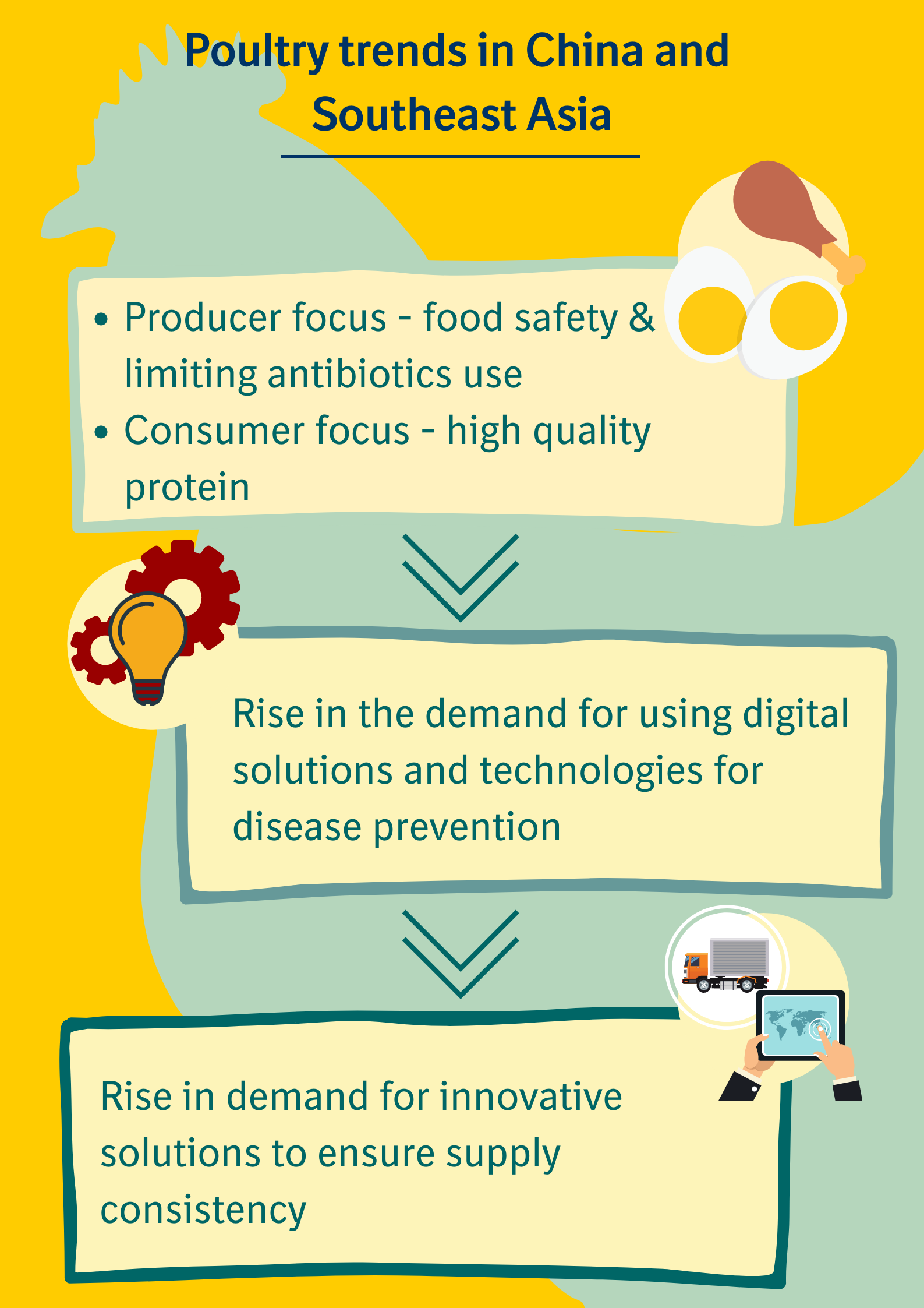 Spotlight On Poultry Chicken Trends | Boehringer Ingelheim IN