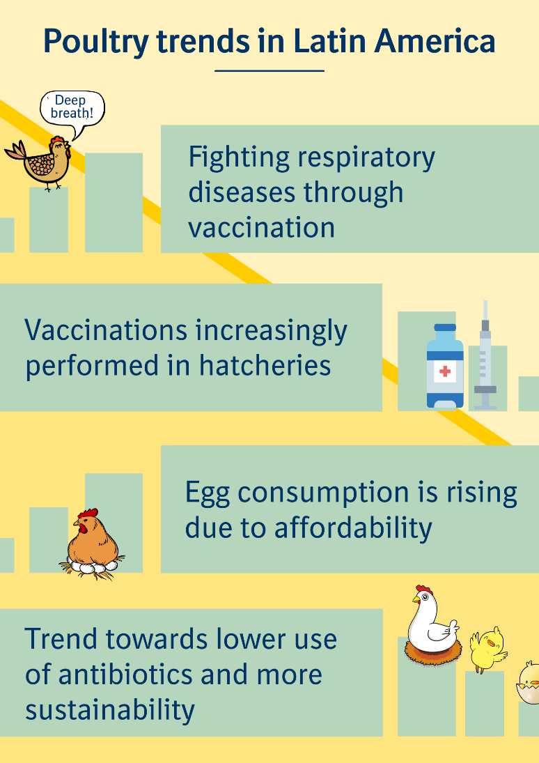 Spotlight On Poultry Chicken Trends | Boehringer Ingelheim IN